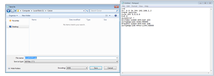 CCAPI RTP Streaming Quick Start Guide